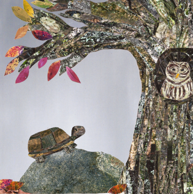 turtle and owl – Sara Beth Videtto